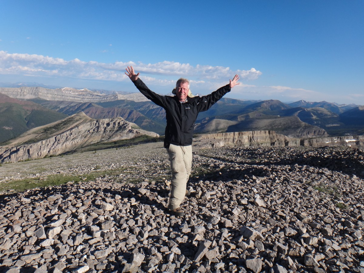 About | David Olson